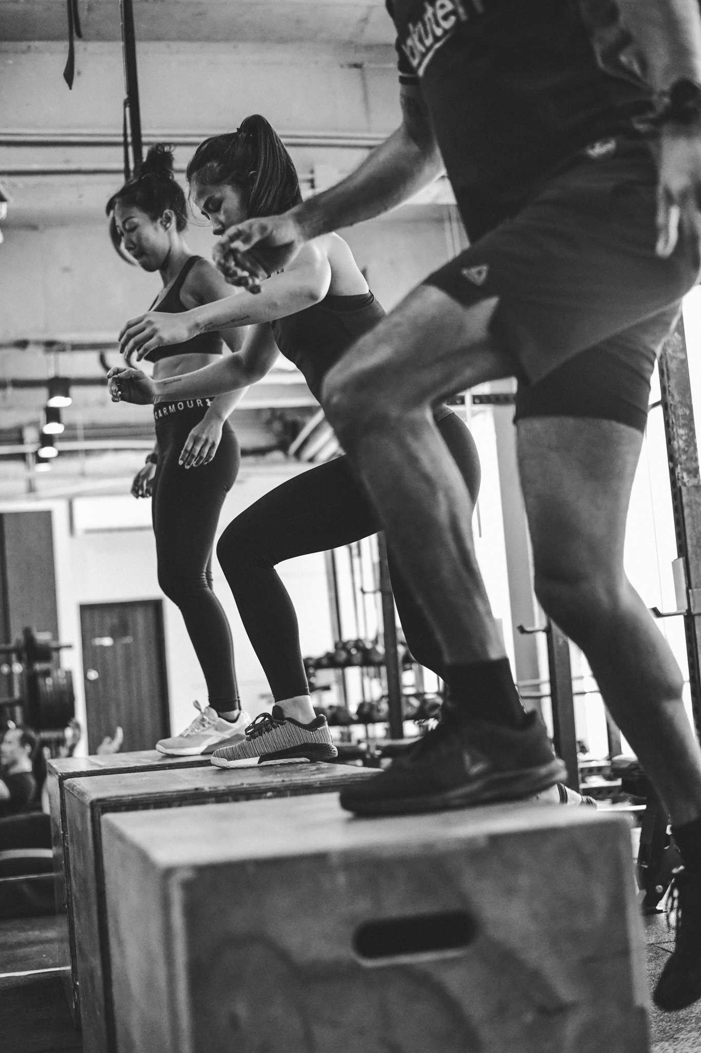 Luma Privilege TenFive